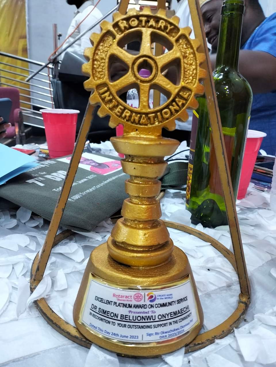Onyemaechi Bags Rotaract Platinum Award on Community Service – Anambra ...